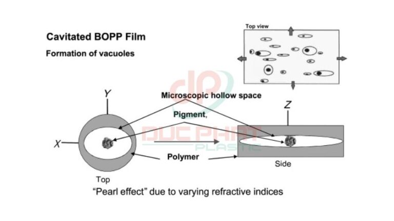 Màng BOPP là gì? Tổng quan đặc tính và ứng dụng của màng BOPP
